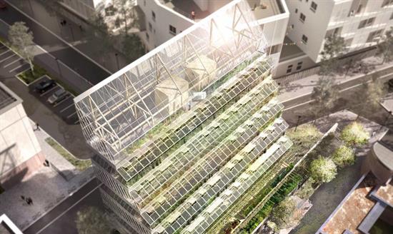 An Introduction To Vertical Farming – The Sustainable Nomad